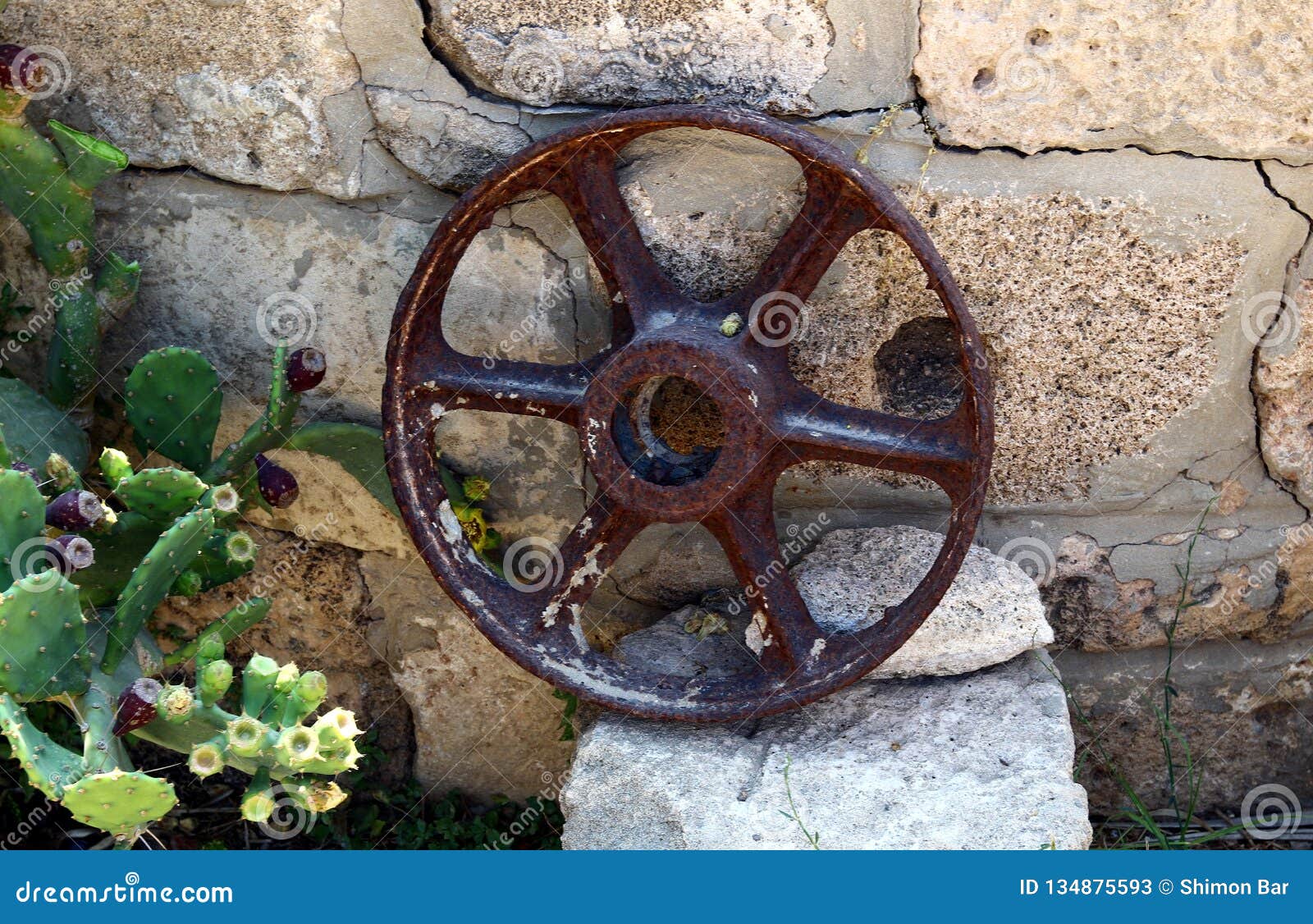 Use of the Wheel in Engineering and Nature Stock Image - Image of spoke ...