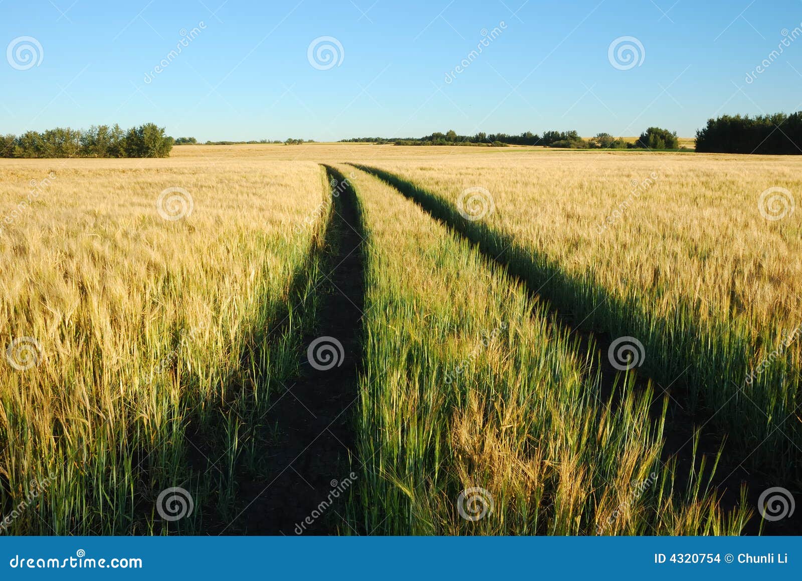 Wheel Shadows Picture. Image: 4320754