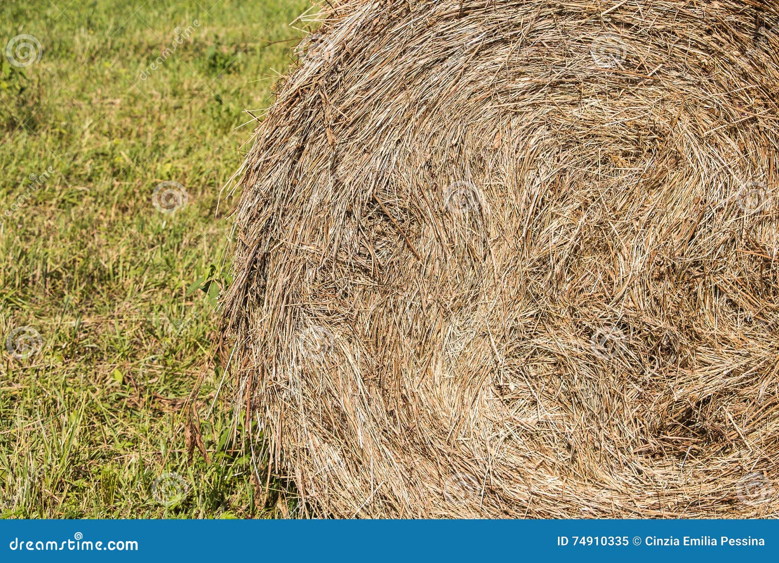 Wheel shaped haystack stock image. Image of ropes, wheel - 74910335