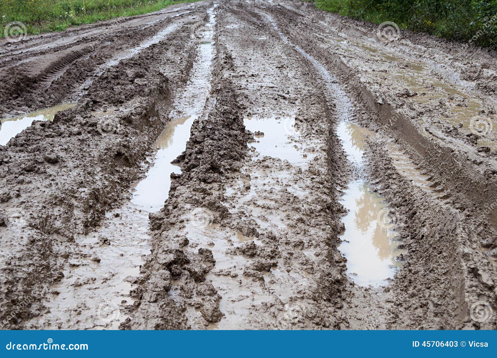 Wheel Track on Dirt Road with Puddles Stock Image - Image of landscape ...