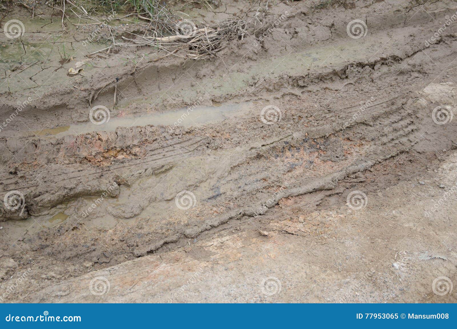 Wheel track on dirt soil stock image. Image of soil, print - 77953065
