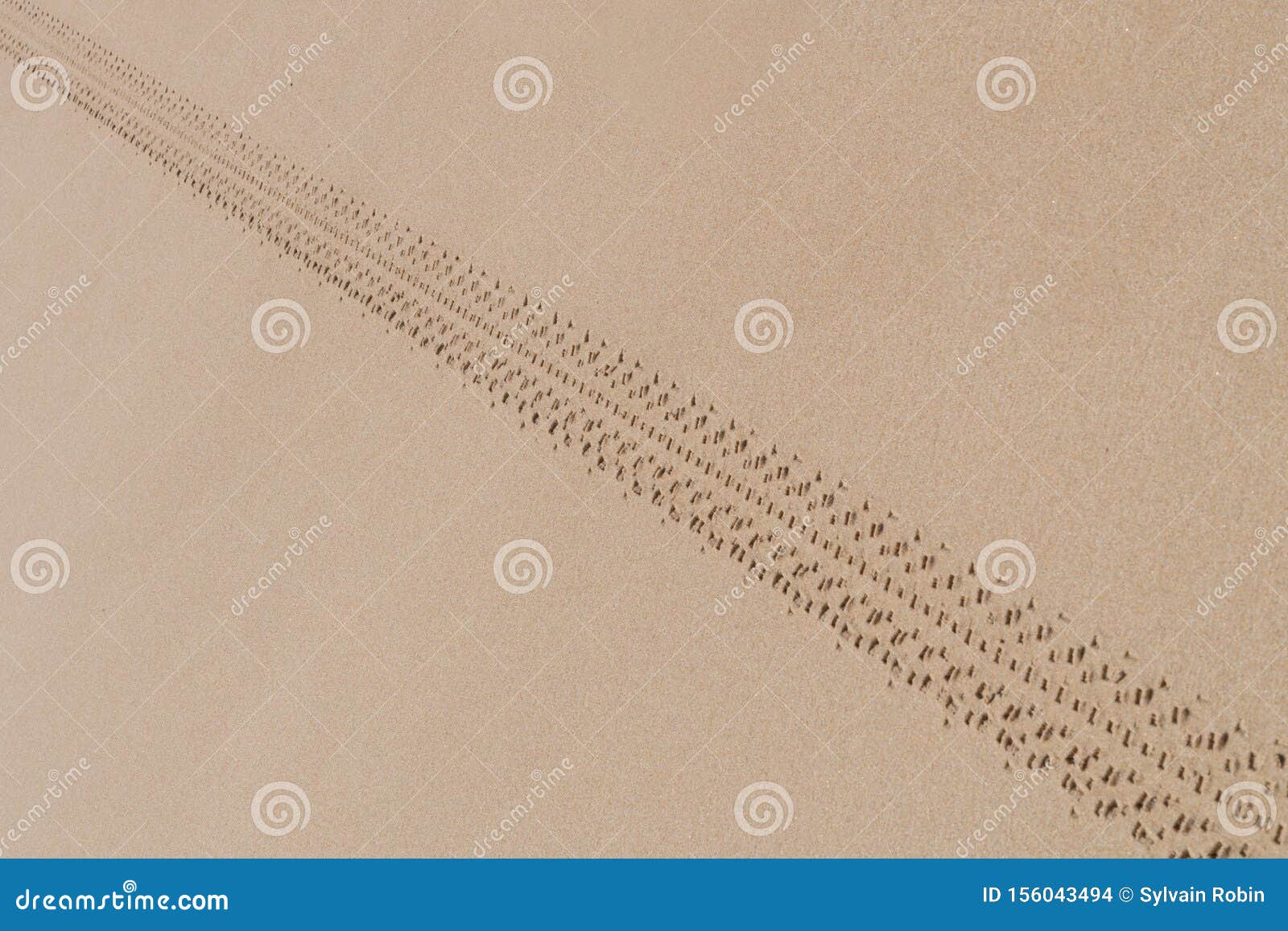 Wheel Track on Dust Dune on a Beach Stock Photo - Image of pattern ...