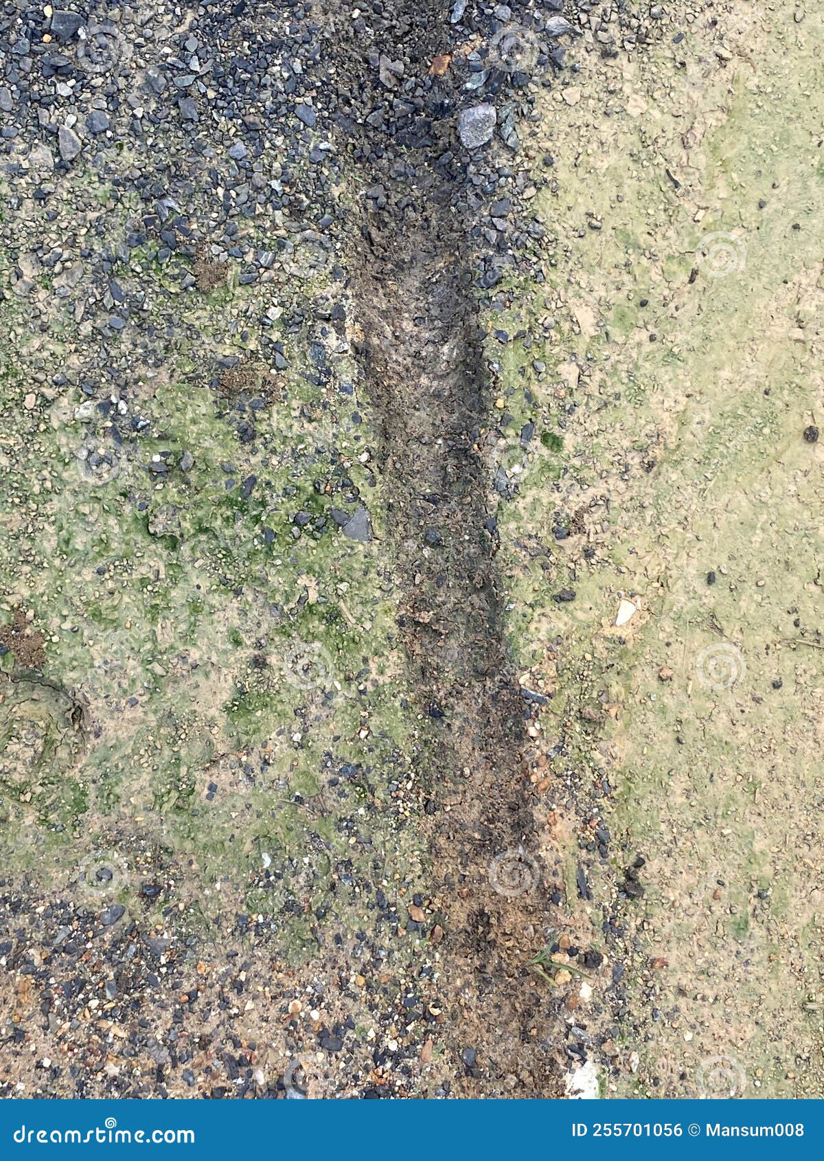 Wheel track on the ground stock photo. Image of outdoor - 255701056