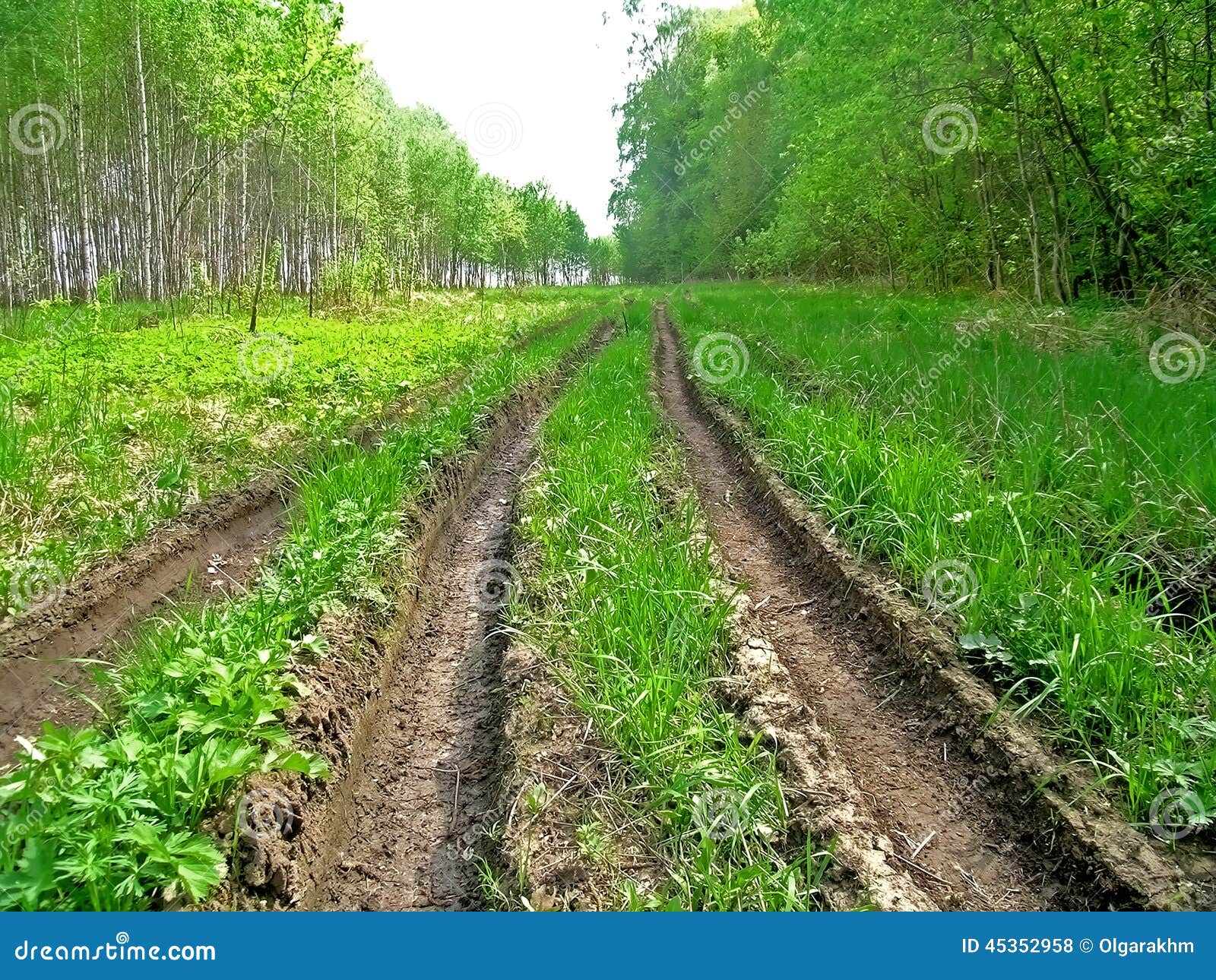 Wheel track stock photo. Image of racing, wheel, track - 45352958
