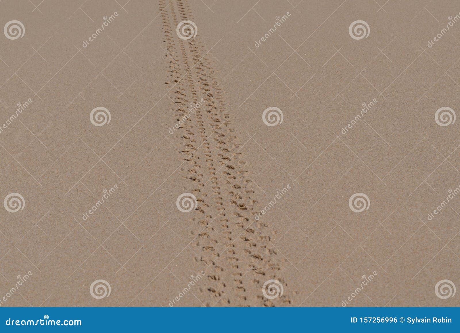 Ash, Dust, Sand Or Dirt On A Pile As Death, Cremation Remains, B Stock ...