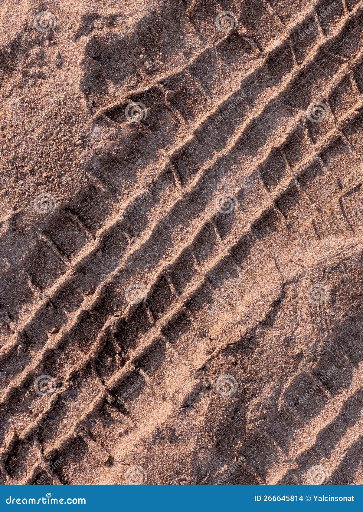Wheel Track of a 4x4 Vehicle Driving Past the Beach at Sunset Stock ...