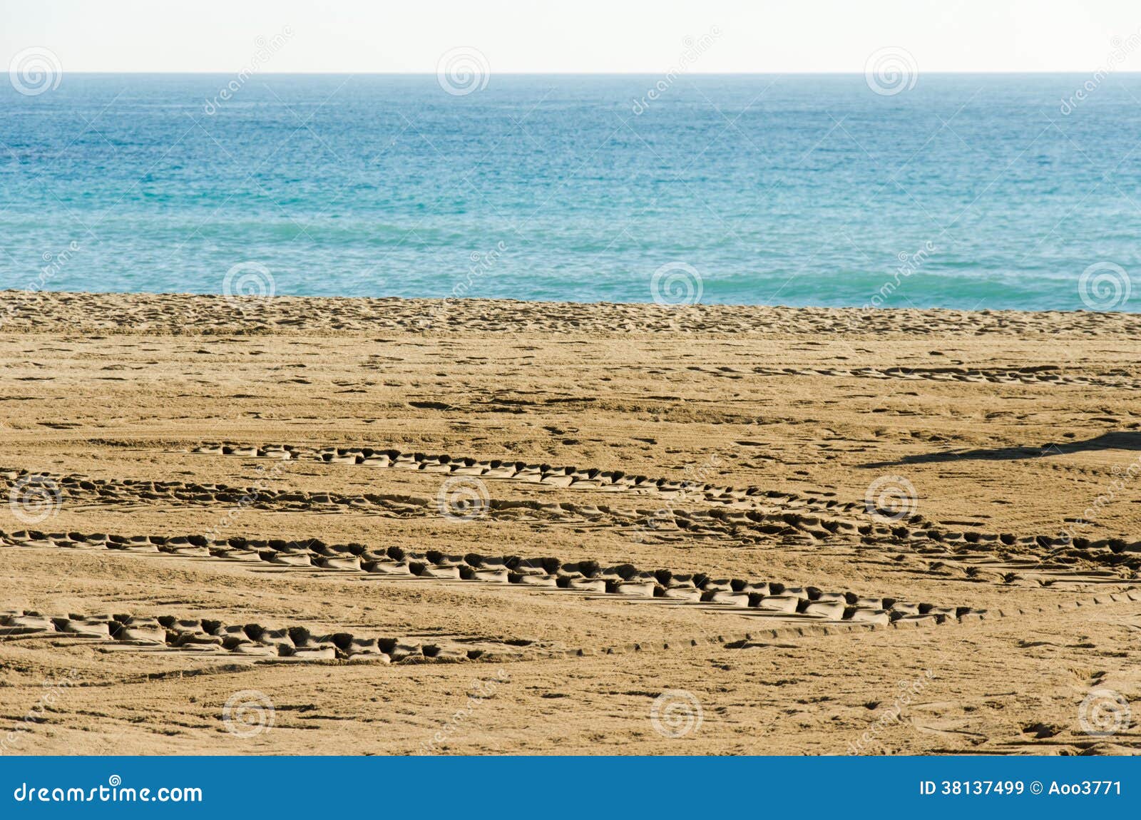 Wheel tracks stock image. Image of truck, land, nature - 38137499
