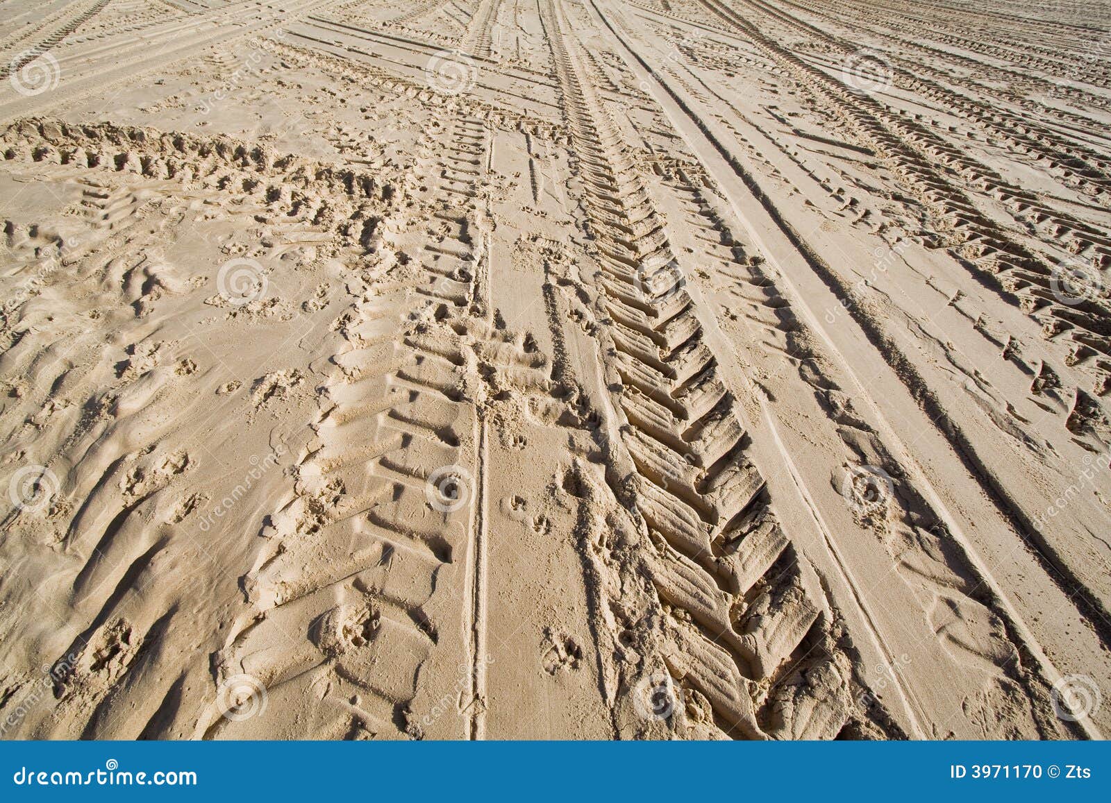 Wheel tracks stock photo. Image of skid, dirt, beach, sand - 3971170