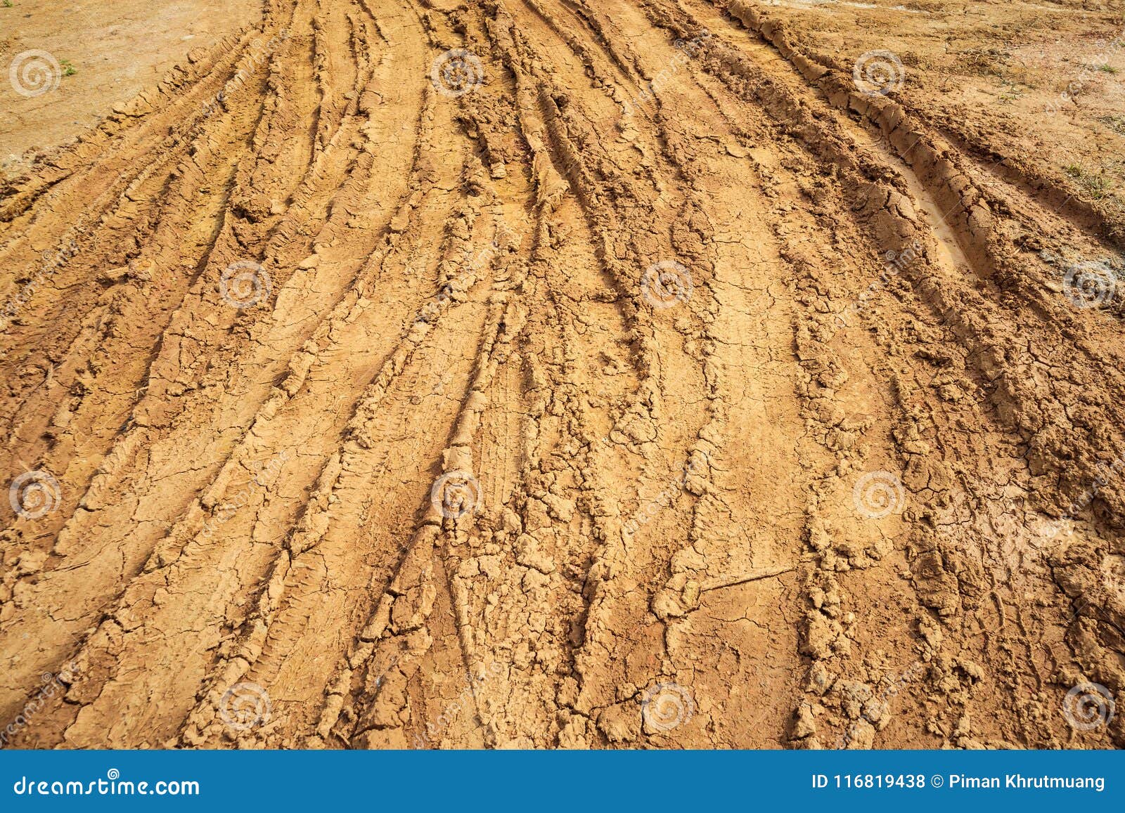 Wheel tracks on dirt road stock photo. Image of track - 116819438