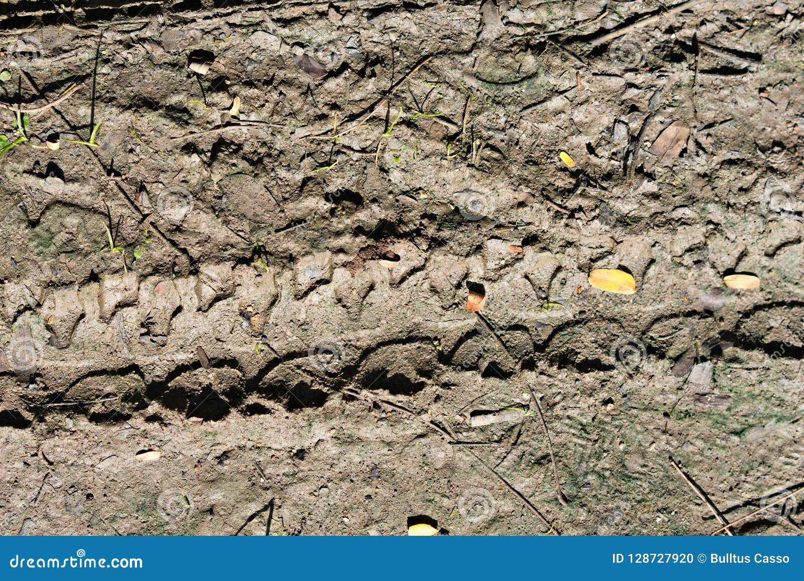 Wheel Tracks on Dirt or Wheel Loader Top Loader Ground Stock Photo ...