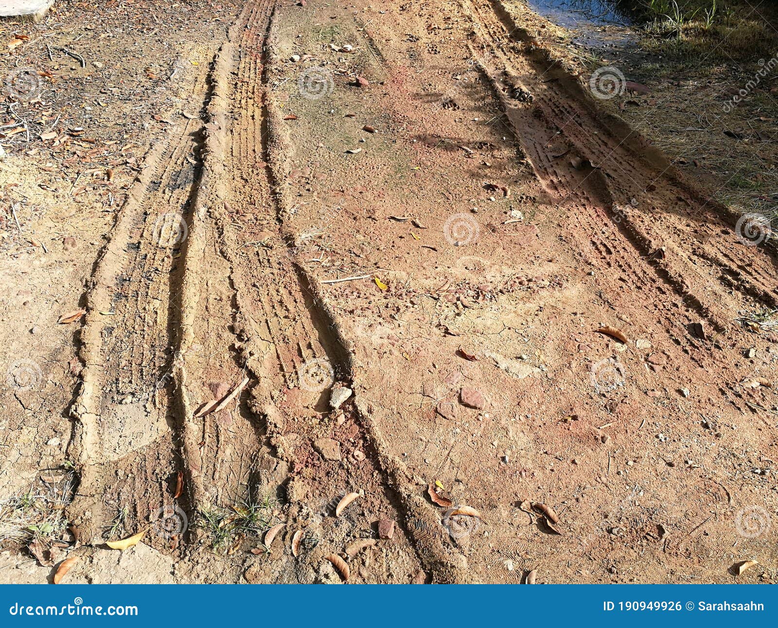 Wheel tracks on mud clay stock photo. Image of rough - 190949926