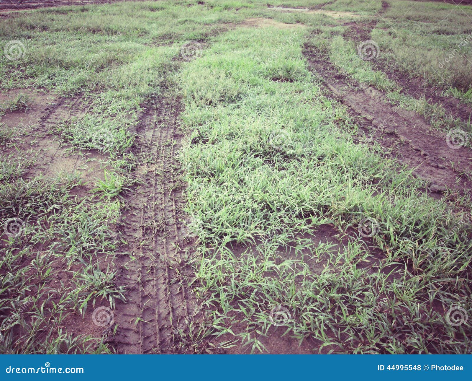 Wheel tracks stock photo. Image of line, footprint, drive - 44995548