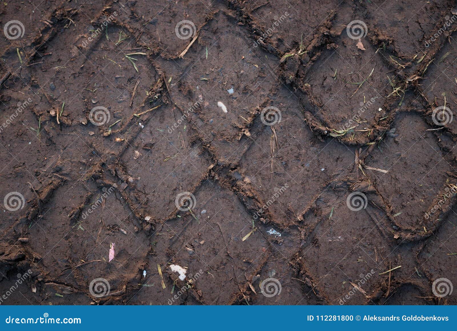 Wheel tracks on the soil. stock photo. Image of agriculture - 112281800
