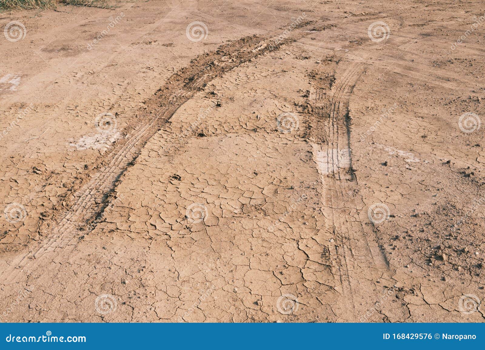 Wheel Tracks in the Soil Cracked Stock Photo - Image of dirt, cross ...