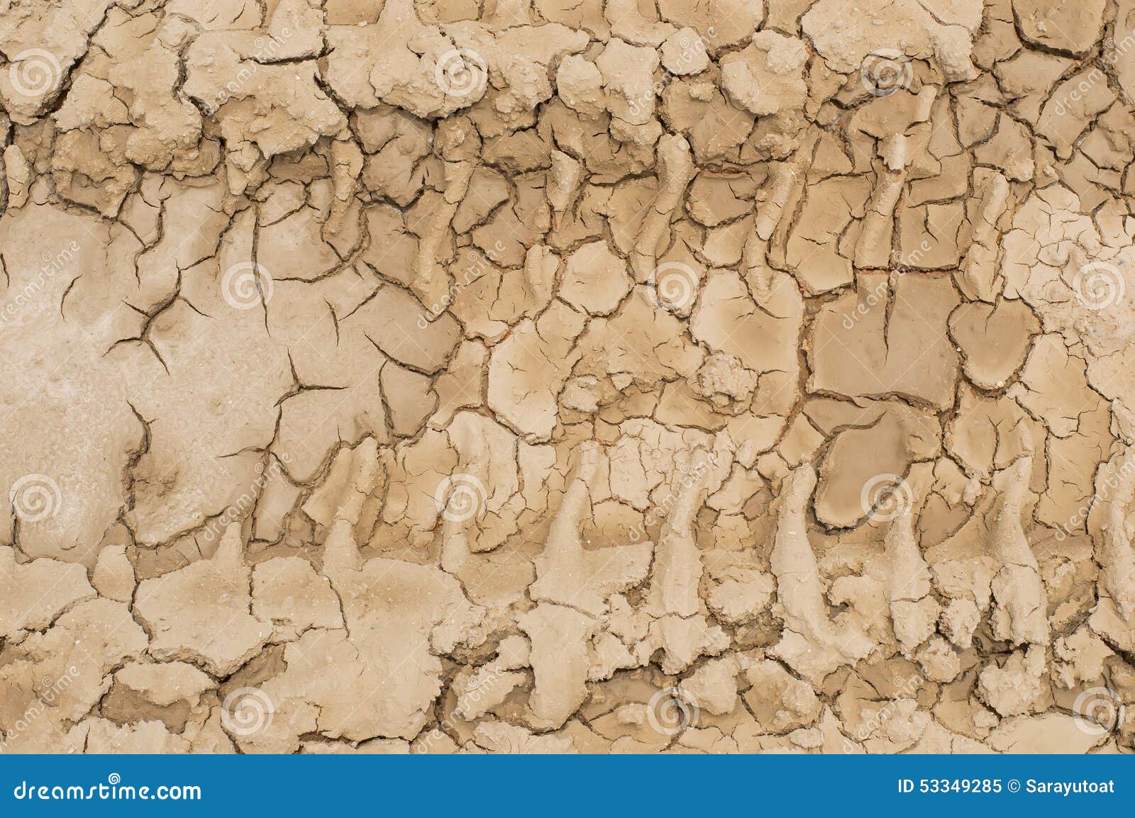 Wheel tracks on the soil stock image. Image of dirt, ground - 53349285