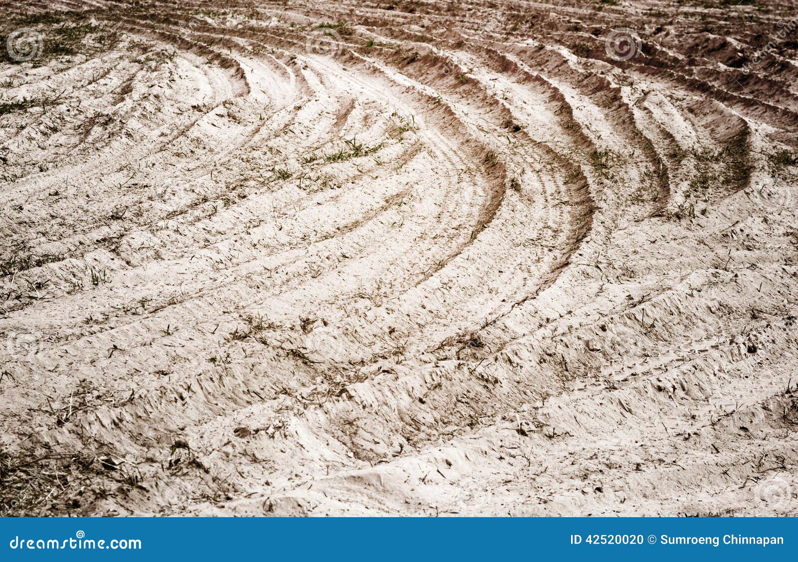 Wheel tracks on the soil. stock photo. Image of line - 42520020