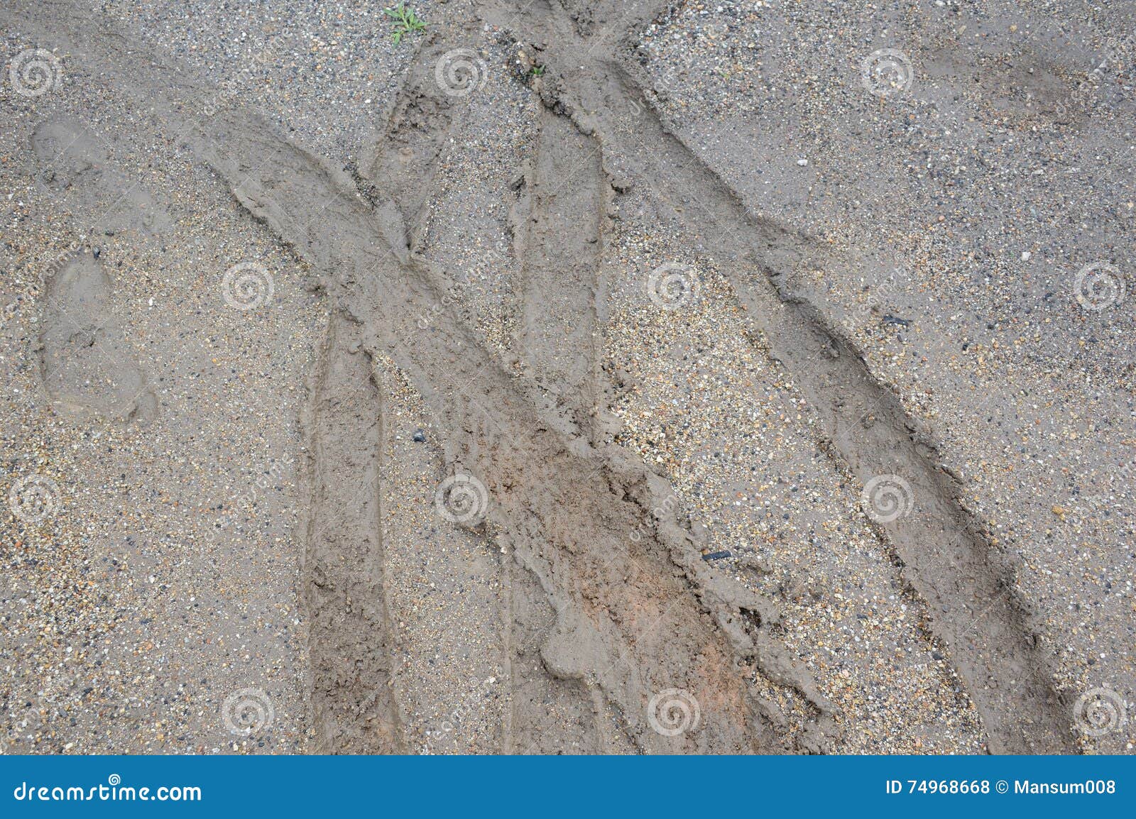 Wheel tracks stock photo. Image of rough, textured, water - 74968668