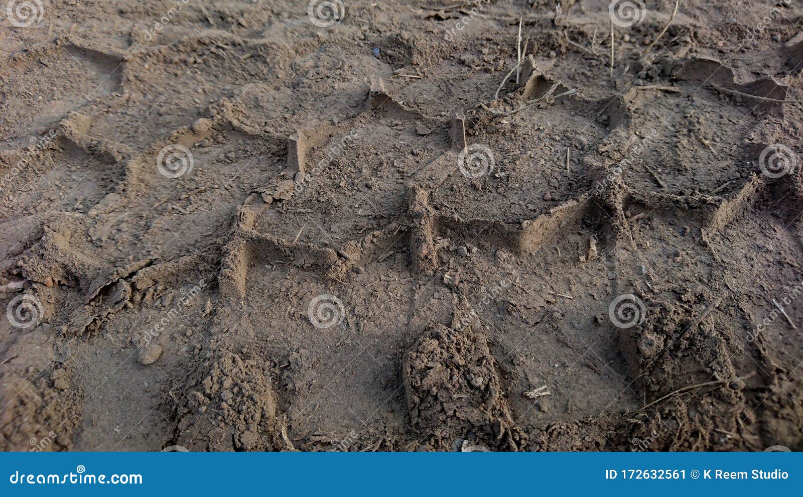 Wheel Tread Texture on Sand that Has Been Damaged Stock Image - Image ...