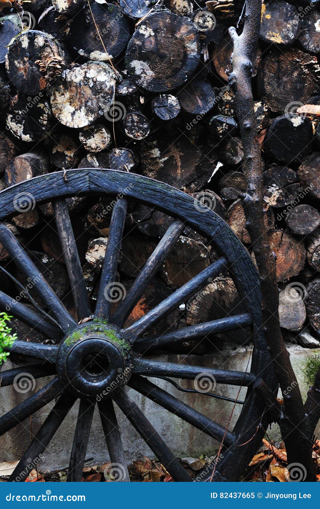Wheel stock image. Image of halftimbered, outdoors, wheel - 82437665