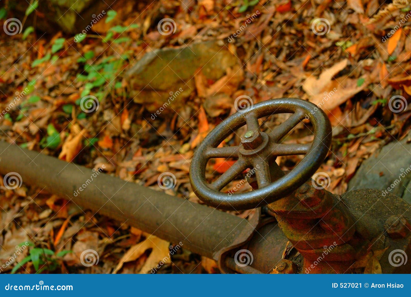 Wheel Valve on Water Pipe in Woods Stock Image - Image of pipe, open ...