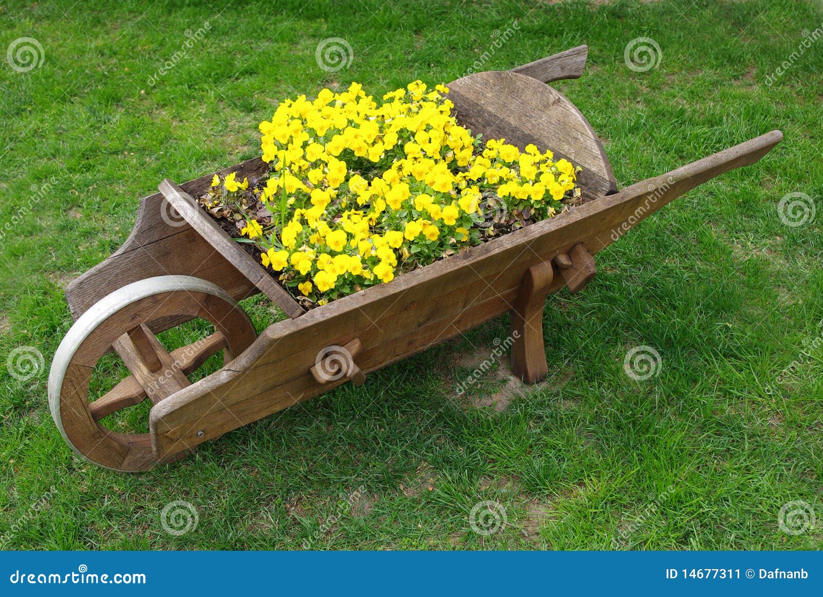 Wheelbarrow stock image. Image of tool, wheelbarrow, summer - 14677311