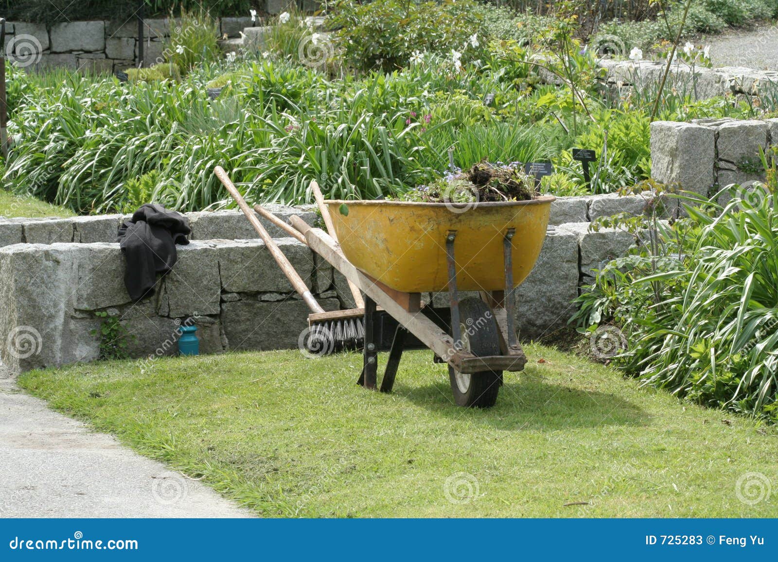 Wheelbarrow stock image. Image of tools, wheelbarrow, growth - 725283