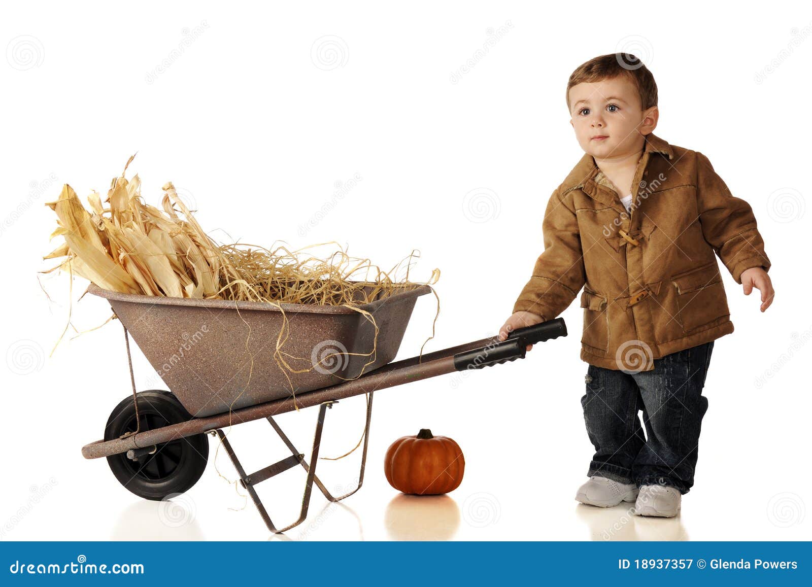 Wheelbarrow Baby stock image. Image of harvest, small - 18937357