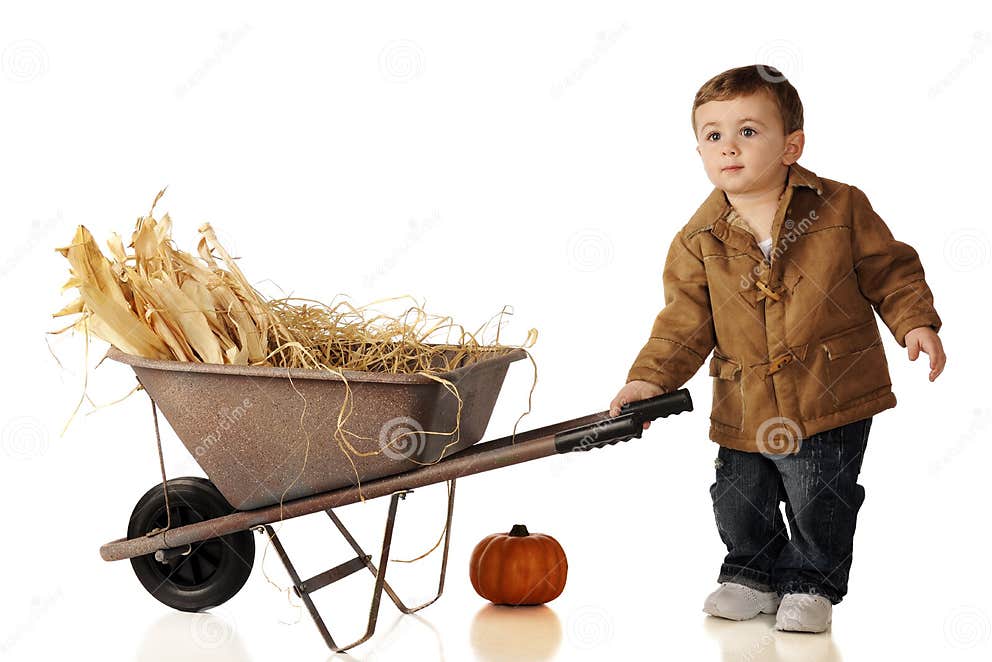 Wheelbarrow Baby stock image. Image of harvest, small - 18937357