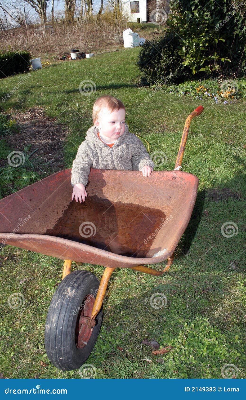 Wheelbarrow baby stock image. Image of barrow, garden - 2149383