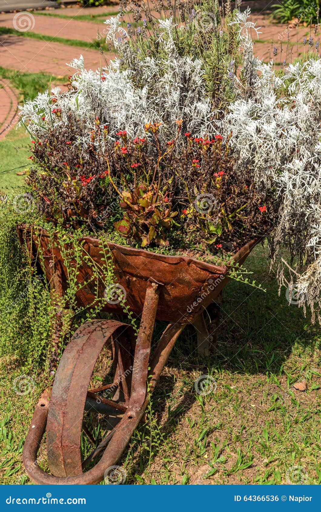 Wheelbarrow Decorated with Flowers in the Garden. Stock Photo - Image ...