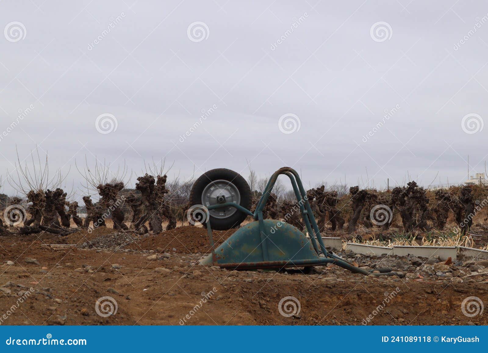 Wheelbarrow Flipped Over in the Bare Field Stock Photo - Image of ...