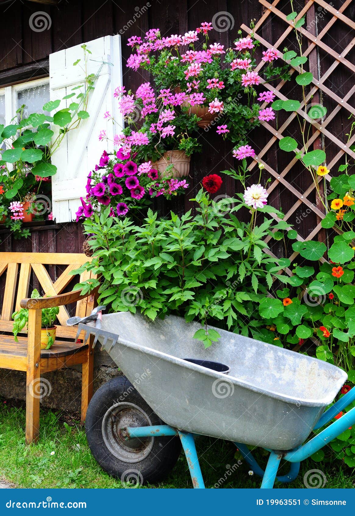 Wheelbarrow Flower stock image. Image of flower, tools - 19963551