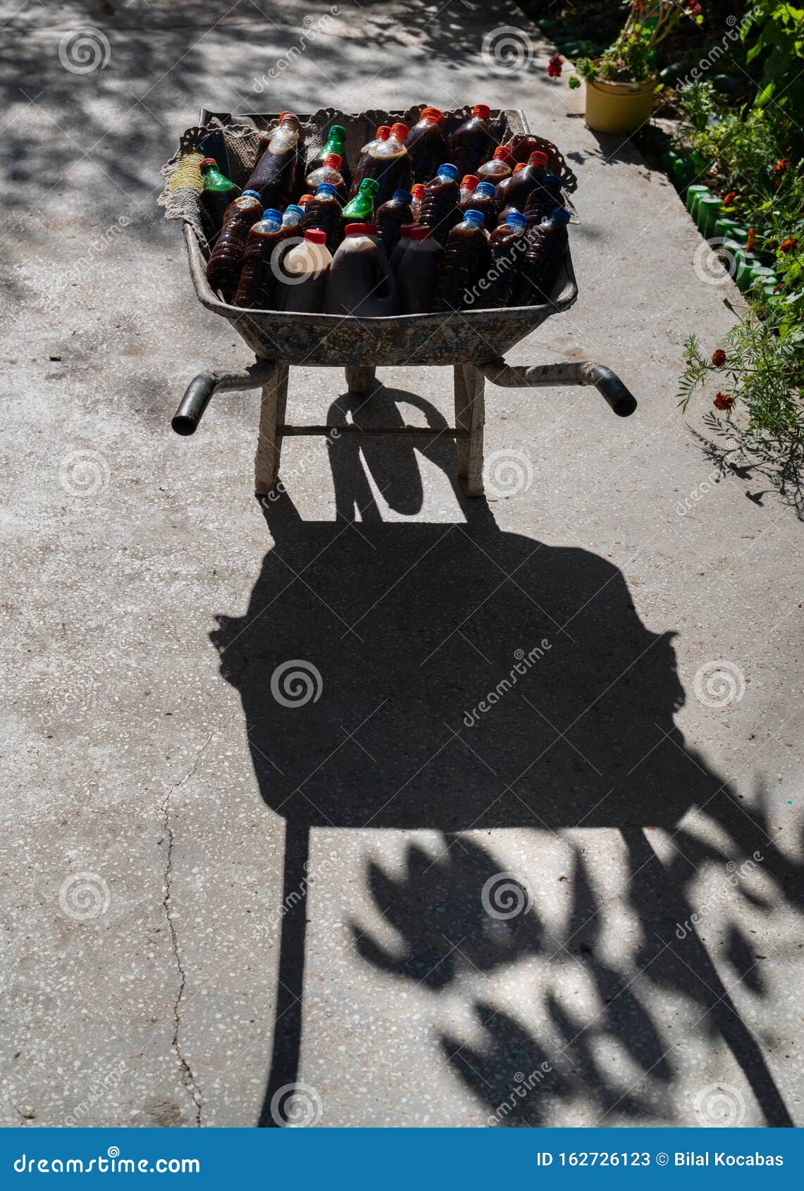 Wheelbarrow Full of Bottles of Handmade Wine and Juice Stock Image ...