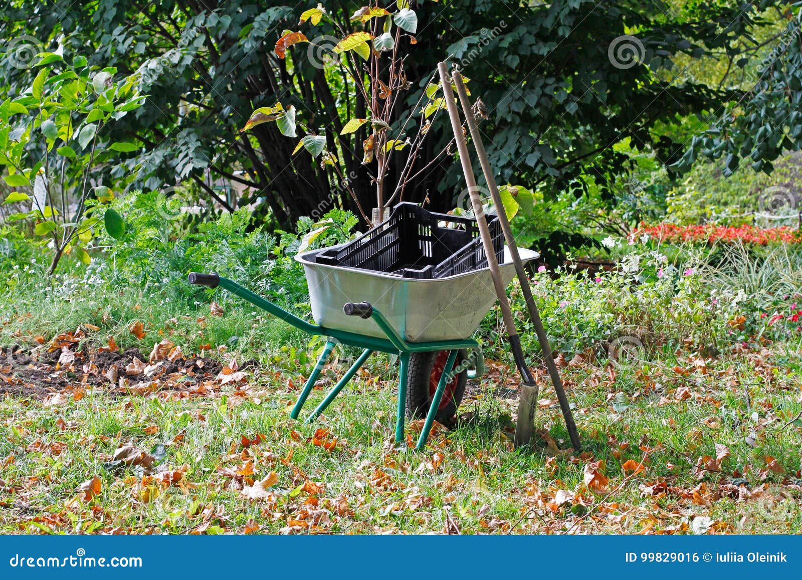 Wheelbarrow Full of Boxes and Gardening Tools Stock Photo - Image of ...