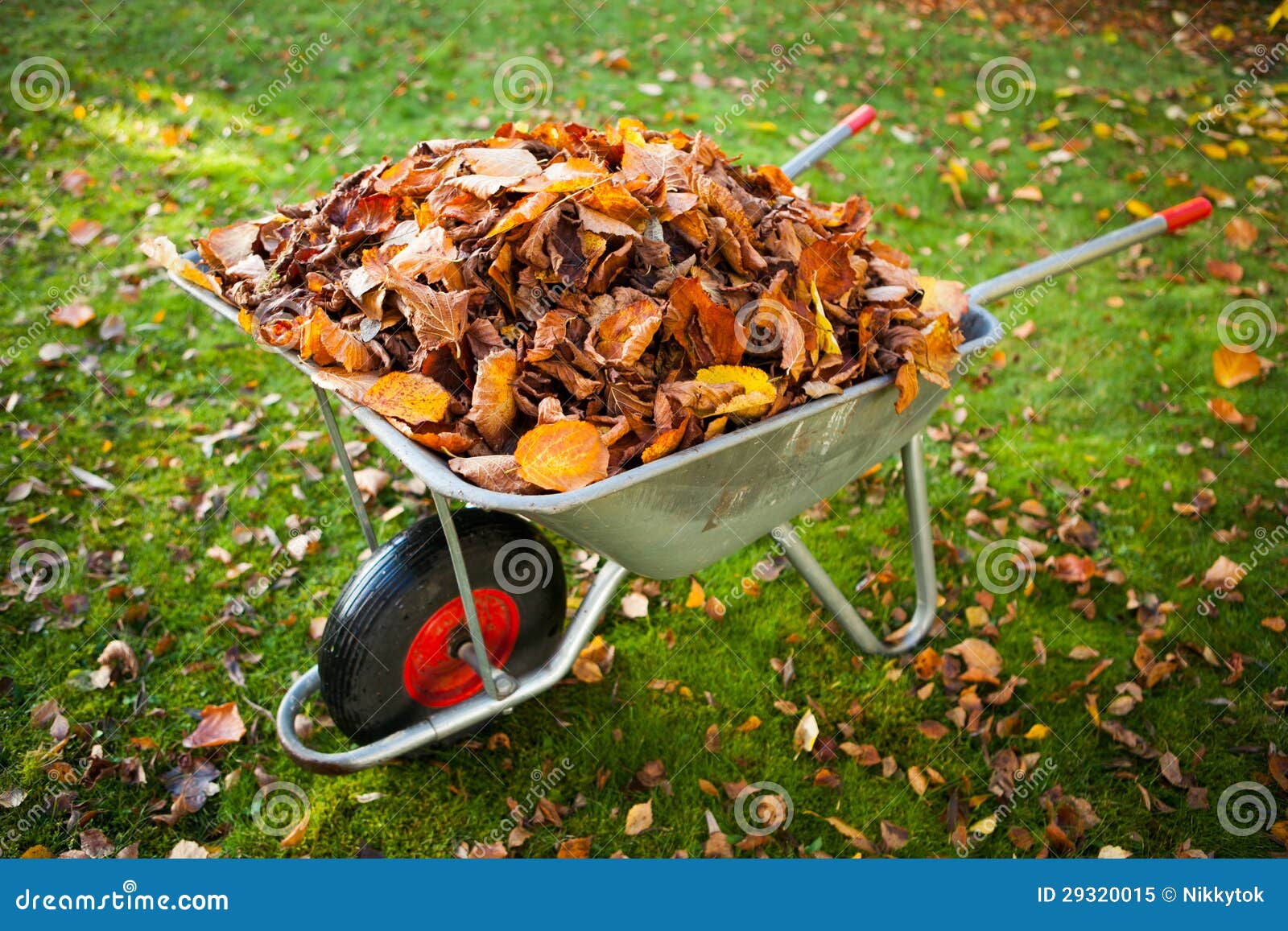 Wheelbarrow Full Of Weeds. Royalty-Free Stock Image | CartoonDealer.com ...