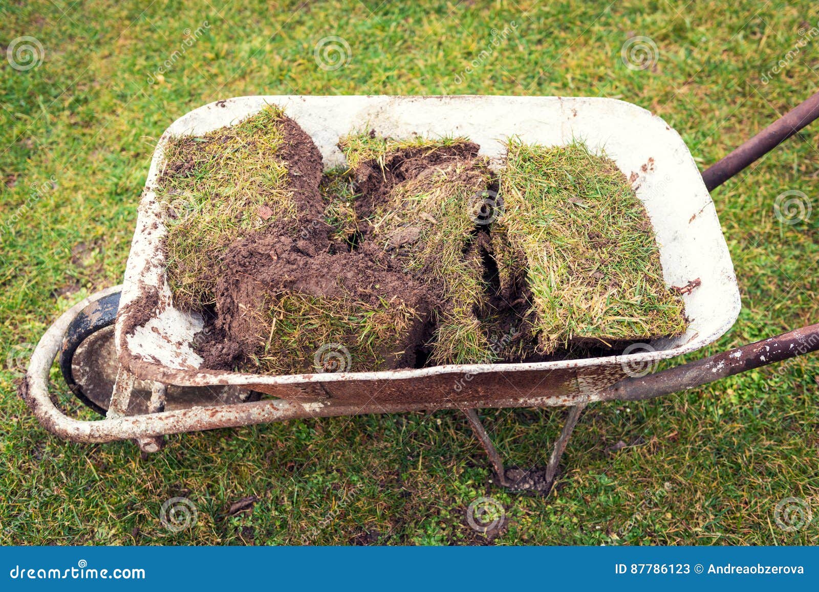 Wheelbarrow full with turf stock image. Image of work - 87786123