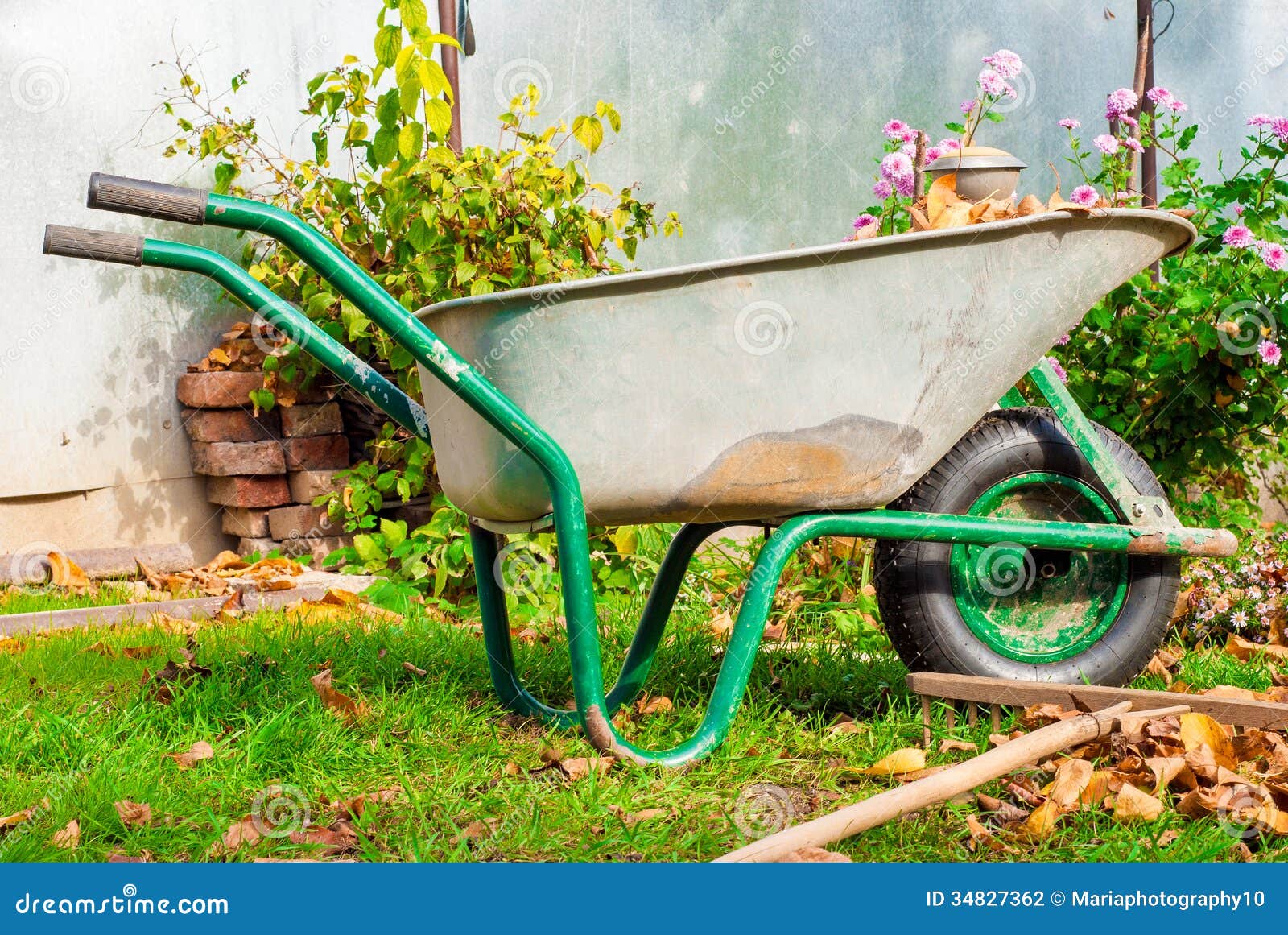 Wheelbarrow stock photo. Image of sunny, season, gardening - 34827362