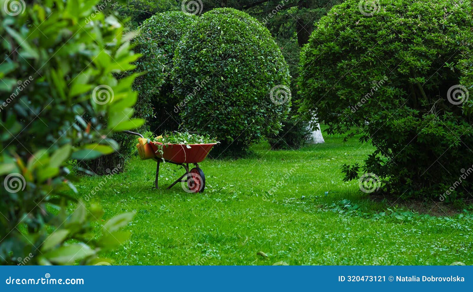 Wheelbarrow for the Garden, Cutting Trees Stock Image - Image of sawing ...