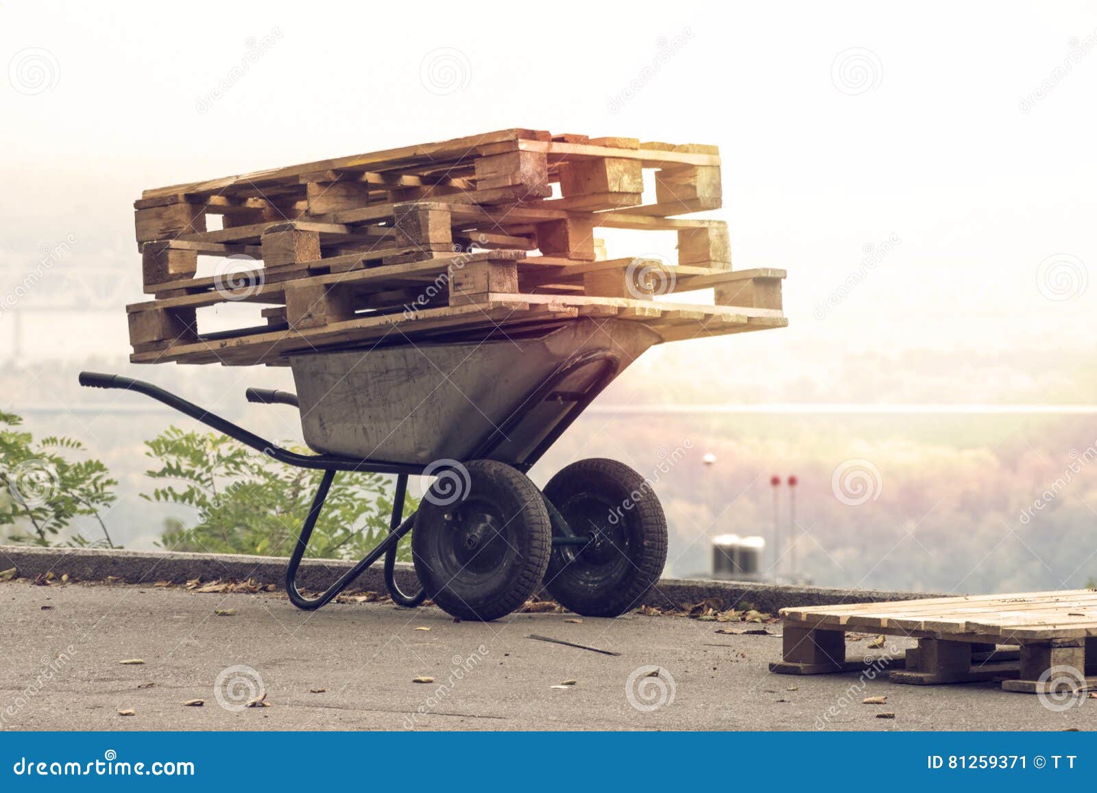 Wheelbarrow and pallets stock image. Image of work, equipment - 81259371