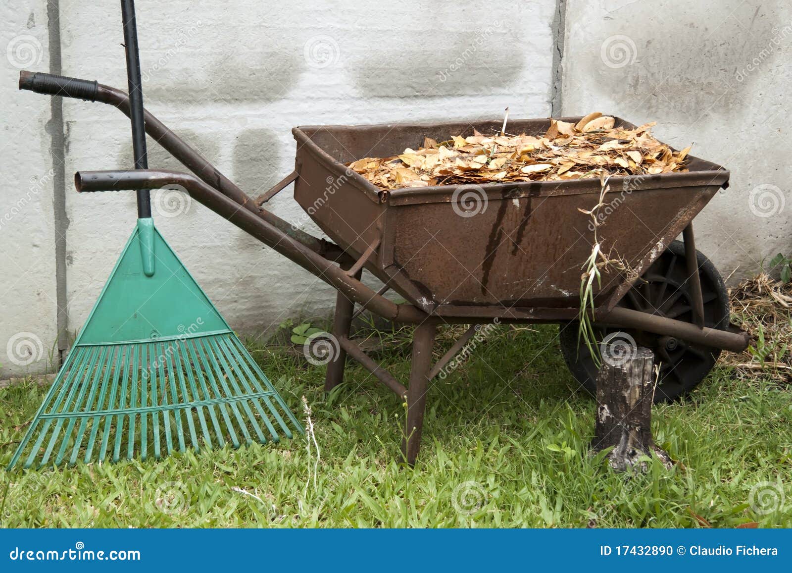 Wheelbarrow and rake stock photo. Image of gardening - 17432890