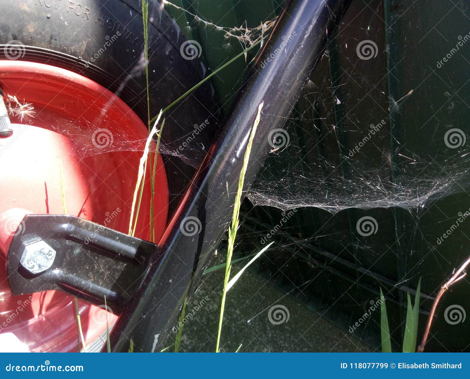 Wheelbarrow stock image. Image of wheel, spiderwebs - 118077799