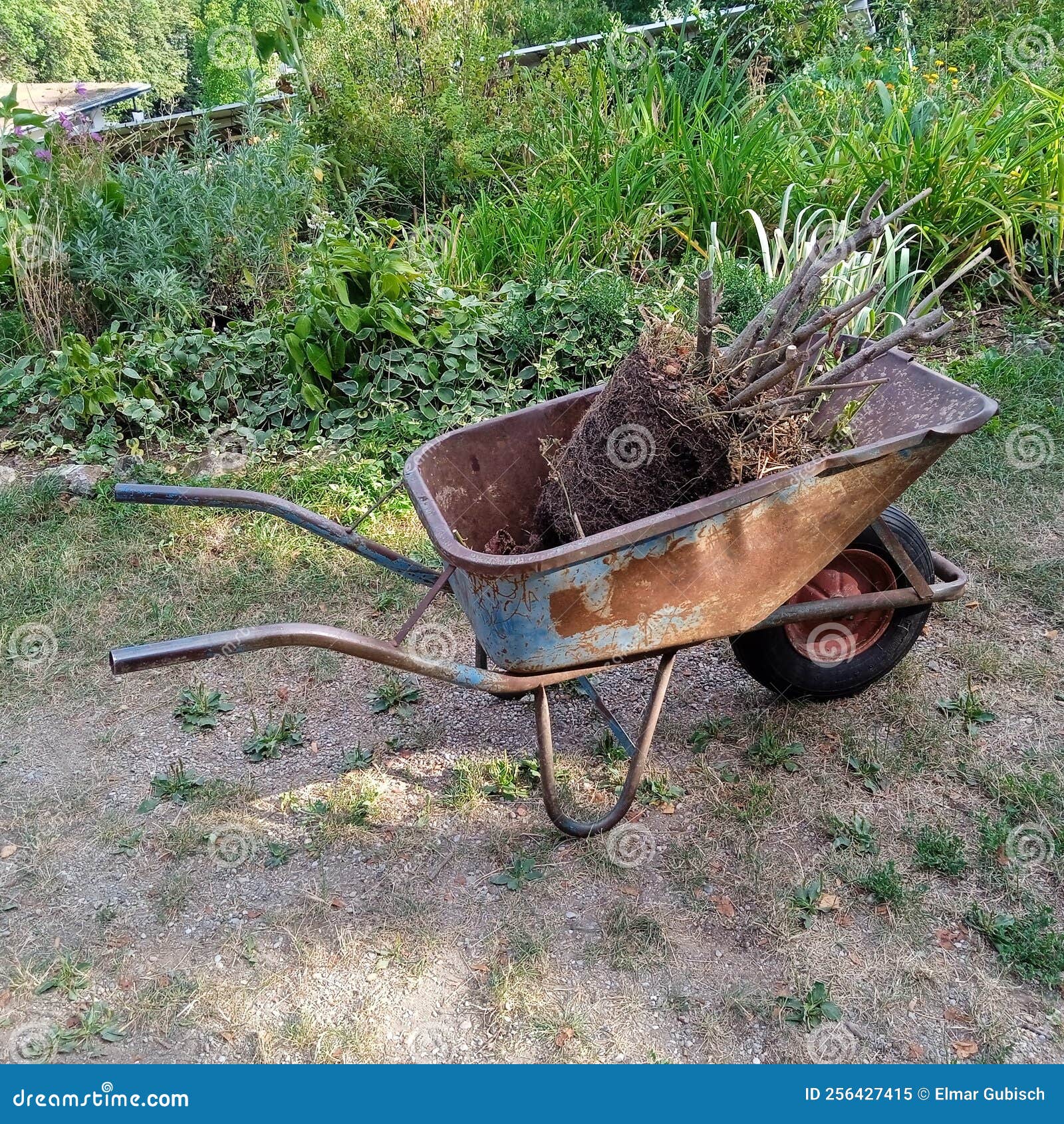 Wheelbarrow for Transporting and Moving Carriage Stock Image - Image of ...