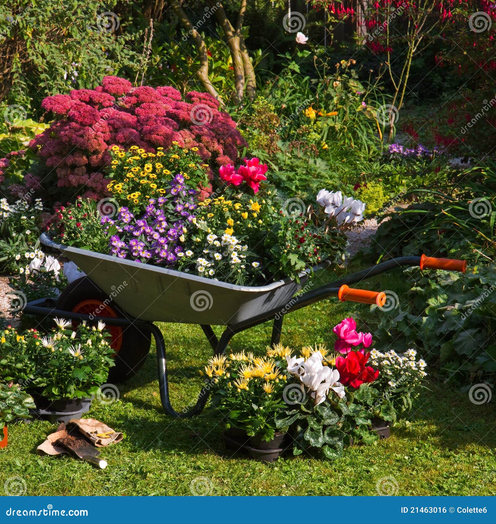 Wheelbarrow With Flowers In It
