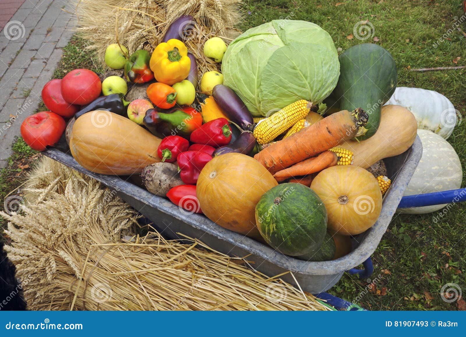 Wheelbarrow with Vegetables and Apples Stock Image - Image of bell ...