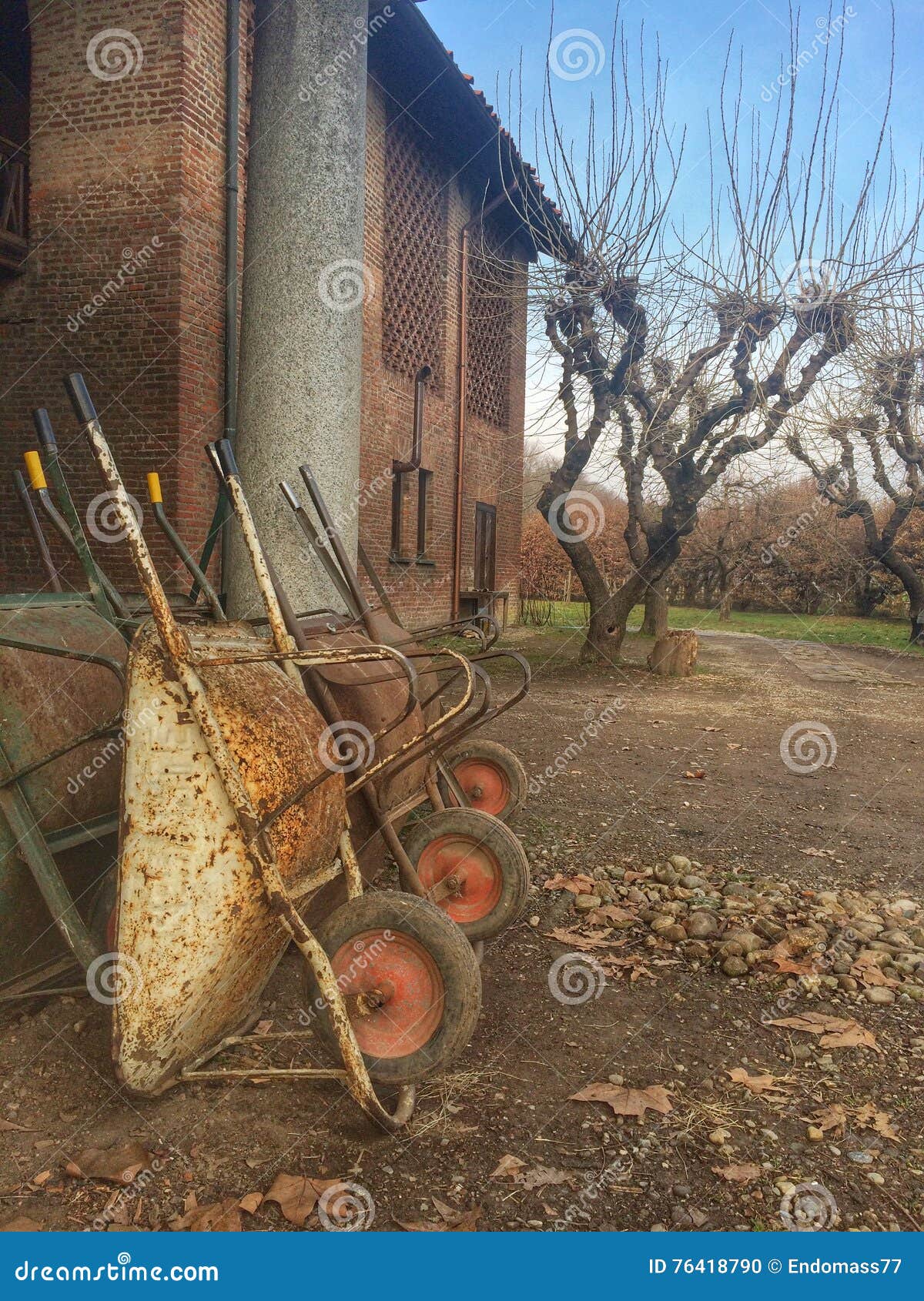Wheelbarrows in a farm stock photo. Image of view, nature - 76418790