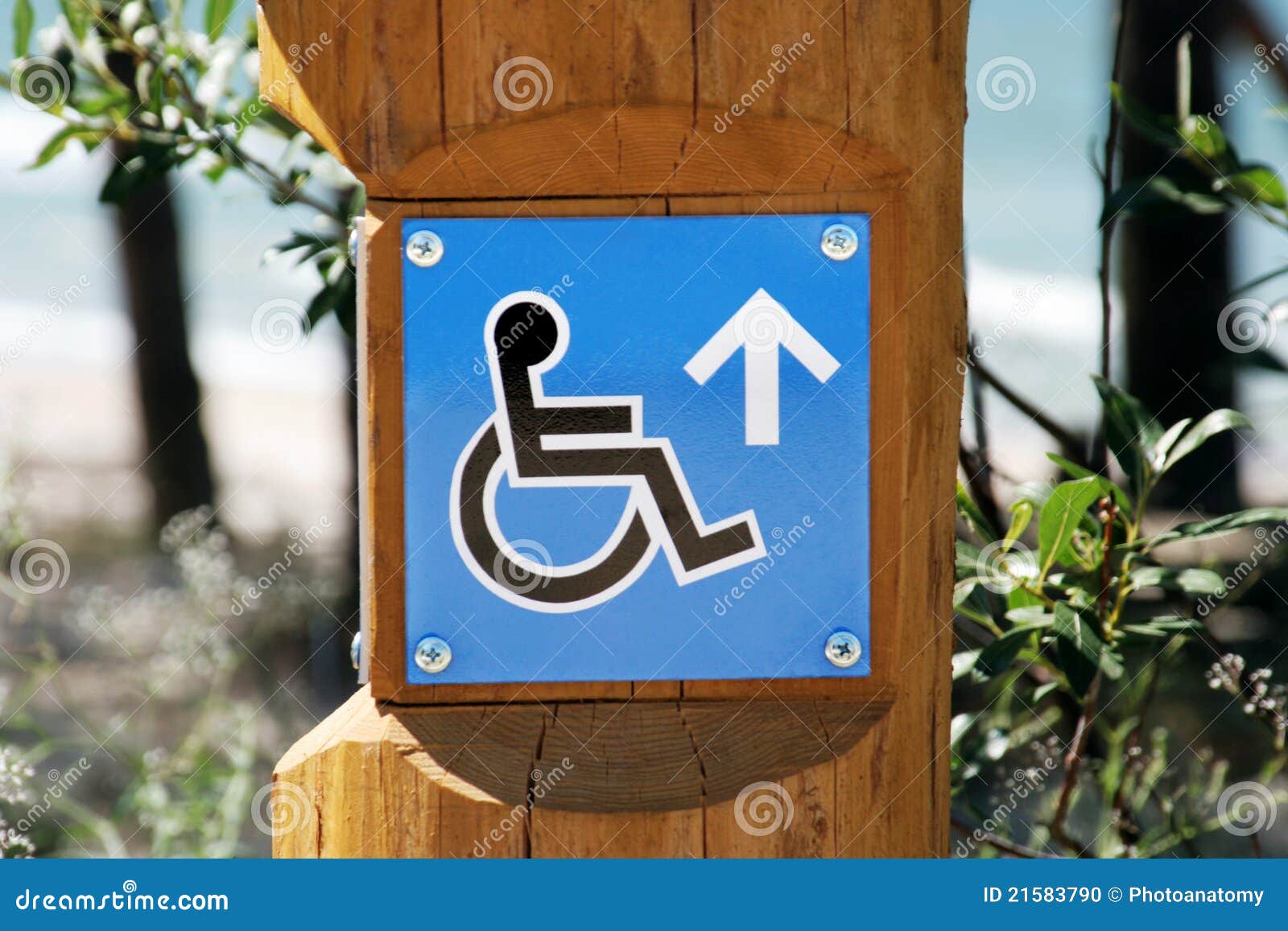 Wheelchair sign stock photo. Image of beach, handicap - 21583790
