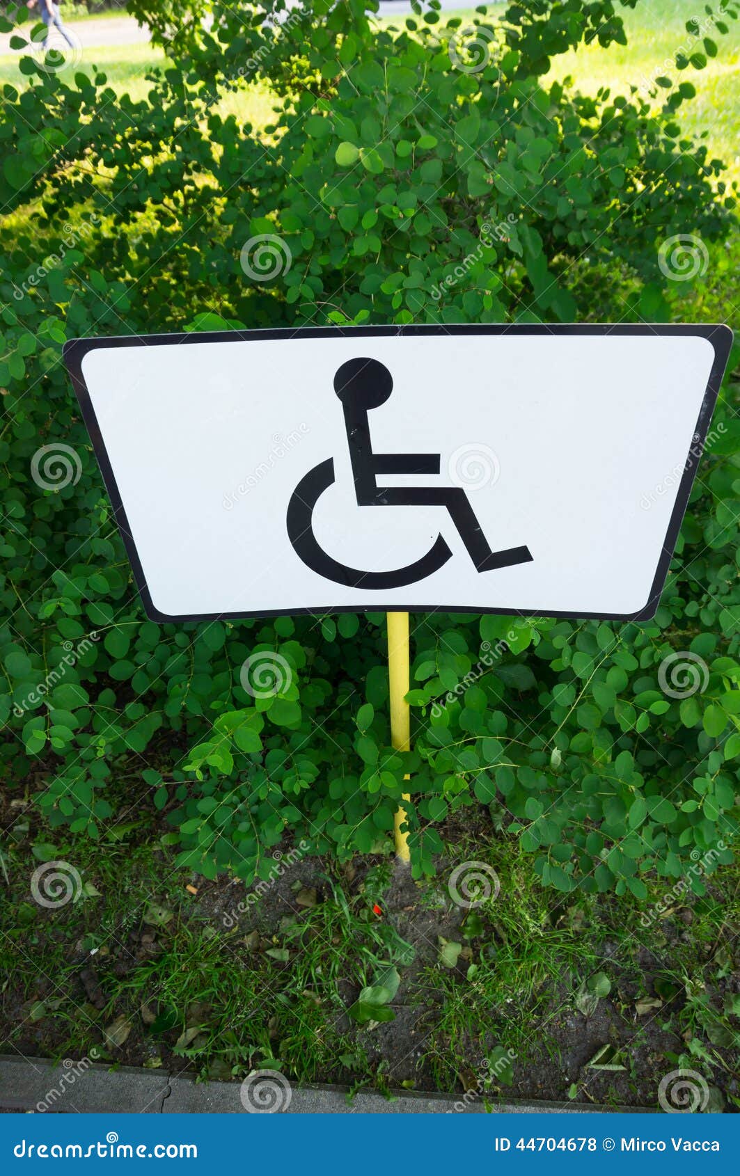 Wheelchair sign stock photo. Image of grass, sign, tree - 44704678