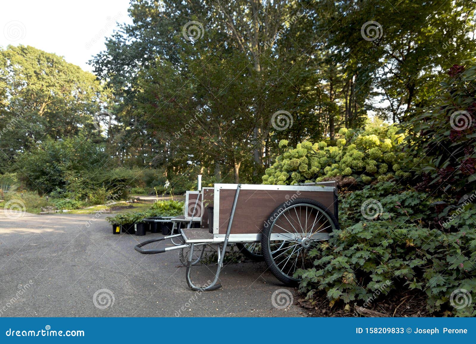Wheeled Carts with Plants for Gardening Editorial Stock Photo - Image ...