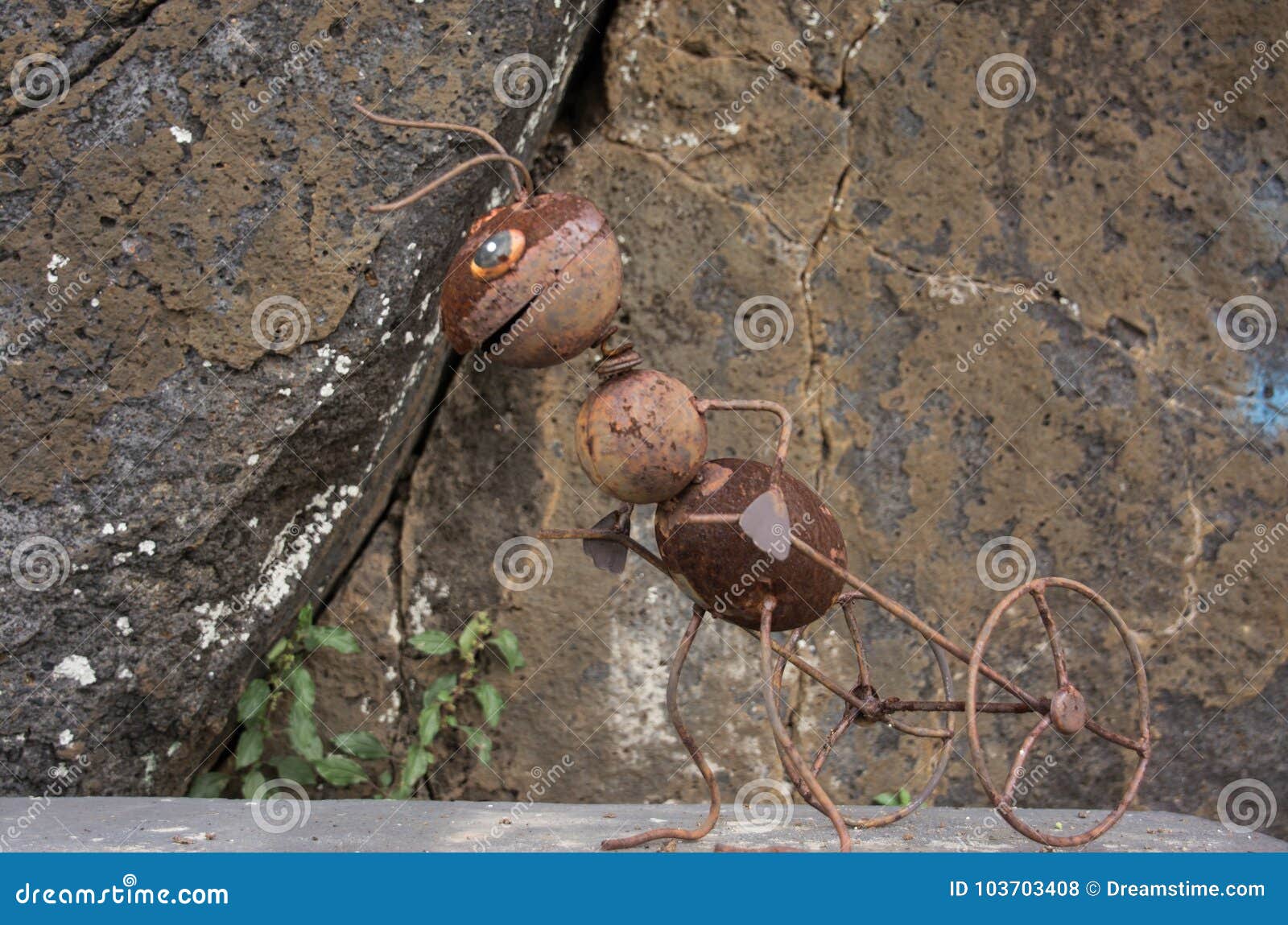 The wheels ant stock photo. Image of portugal, miguel - 103703408