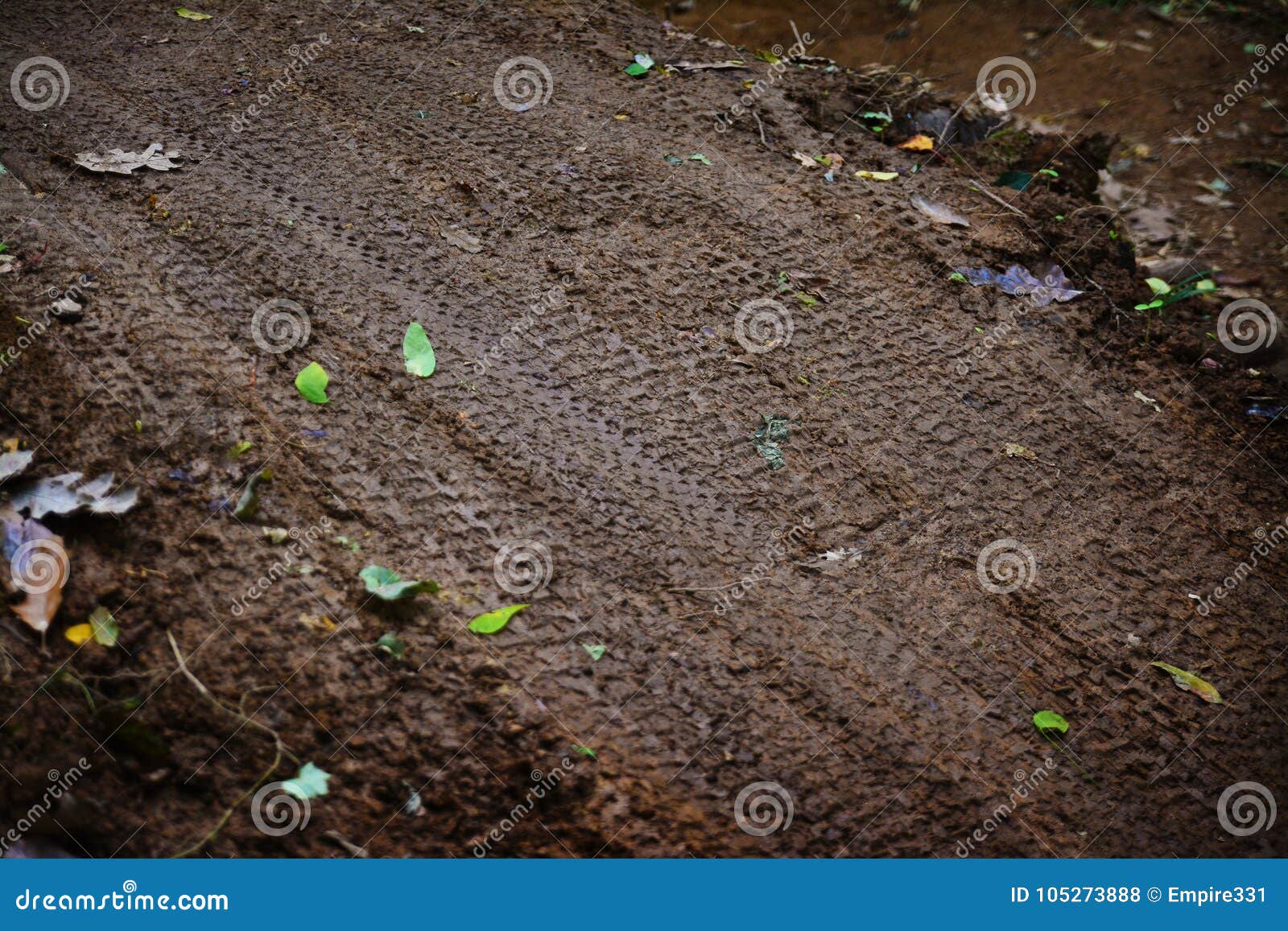 Wheels tracks on mud stock photo. Image of downhill - 105273888